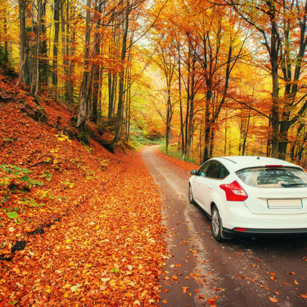 How to Celebrate Fall Car Care Month While Fighting Inflation - In The ...