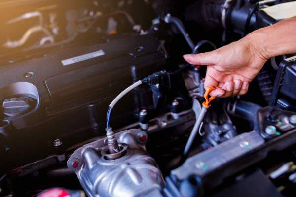 What's in Your Owner's Manual: Car Care Information, Service Schedules ...