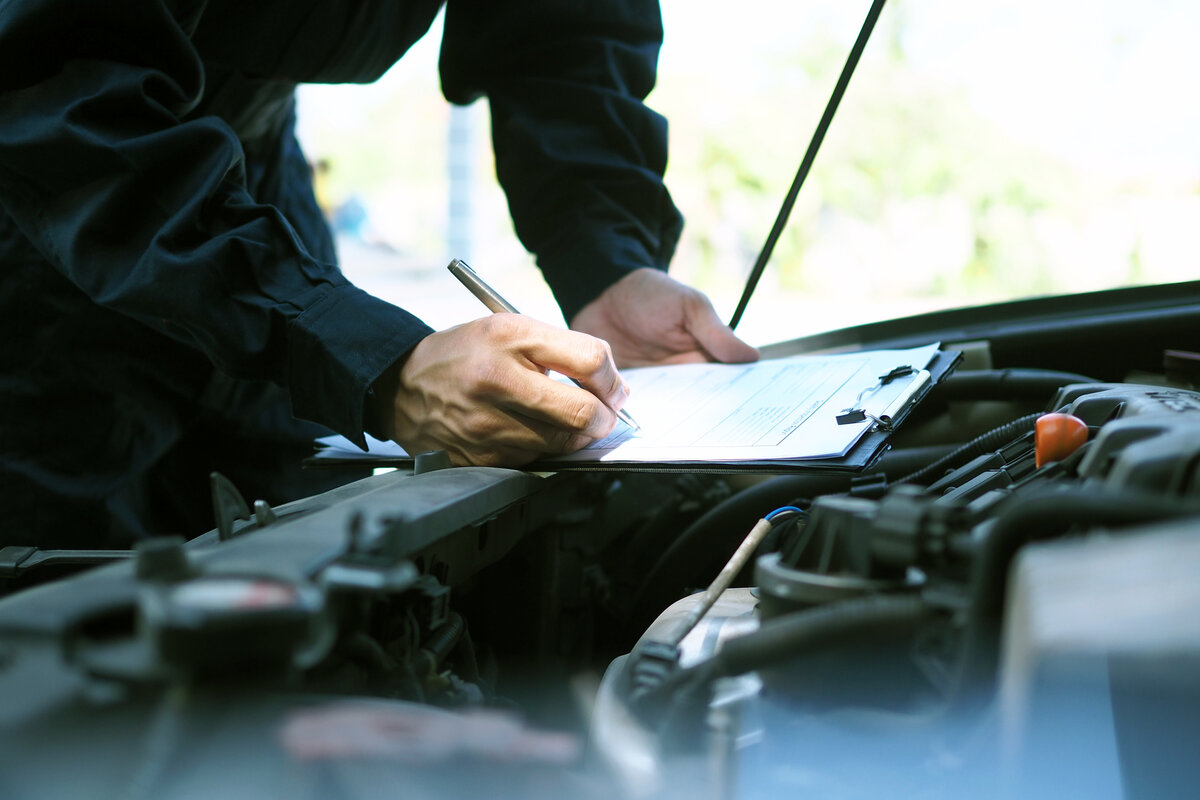 What's in Your Owner's Manual: Car Care Information, Service Schedules ...
