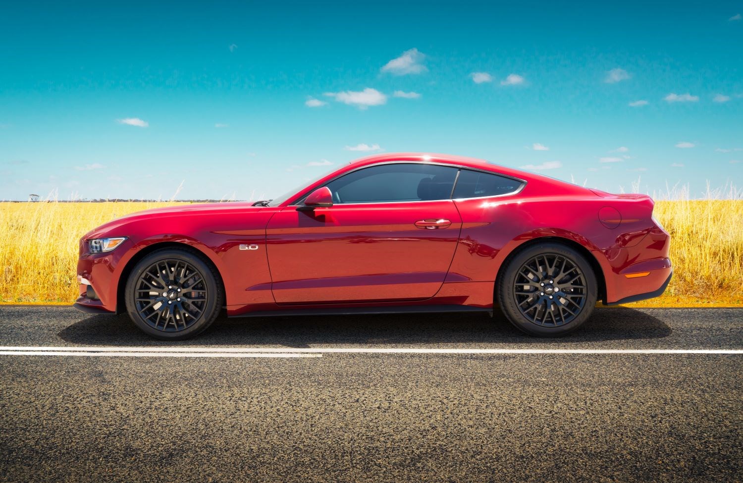 Mustang Accessories: Your Options, Top-Selling Brands, and More - In ...