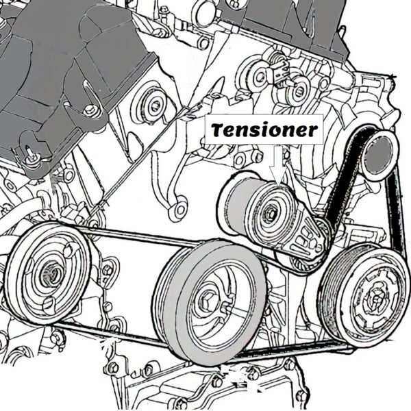 Car Troubles: Where Is That Screeching Noise Coming From? - In The ...