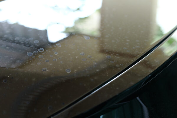 How To Remove and Prevent Water Spots From Forming On Your Car - In The ...