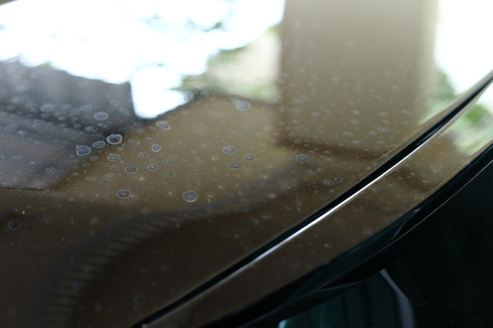 How To Remove and Prevent Water Spots From Forming On Your Car - In The ...