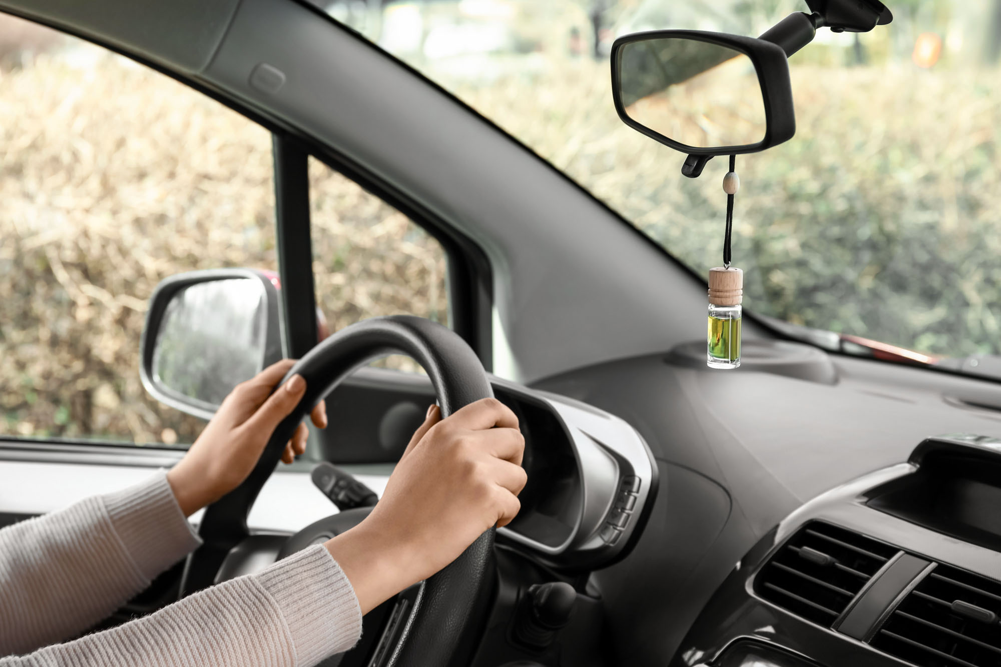 How to Make Your Own Car Freshener: 5 Simple Ways - In The Garage with ...