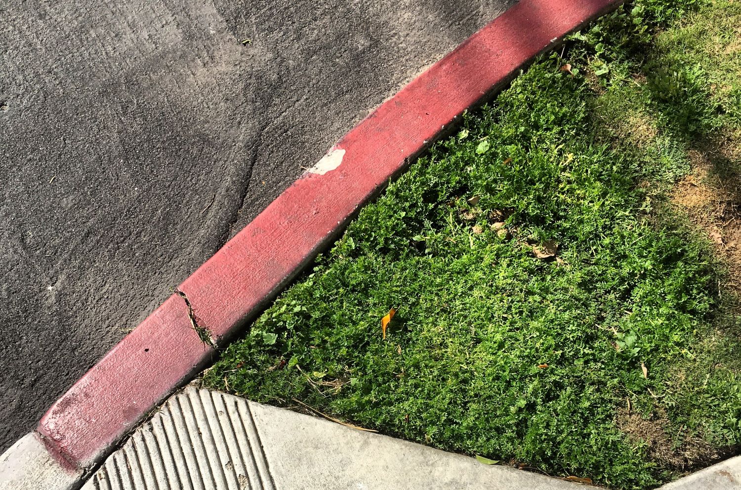 What Do Curb Colors Mean In California In The Garage With CarParts