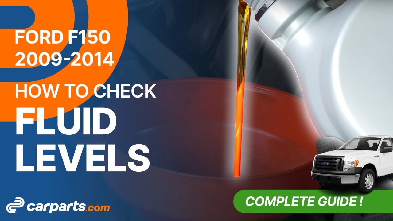 How to Check the Fluid Levels: 2009-2014 Ford F-150 - In The Garage ...