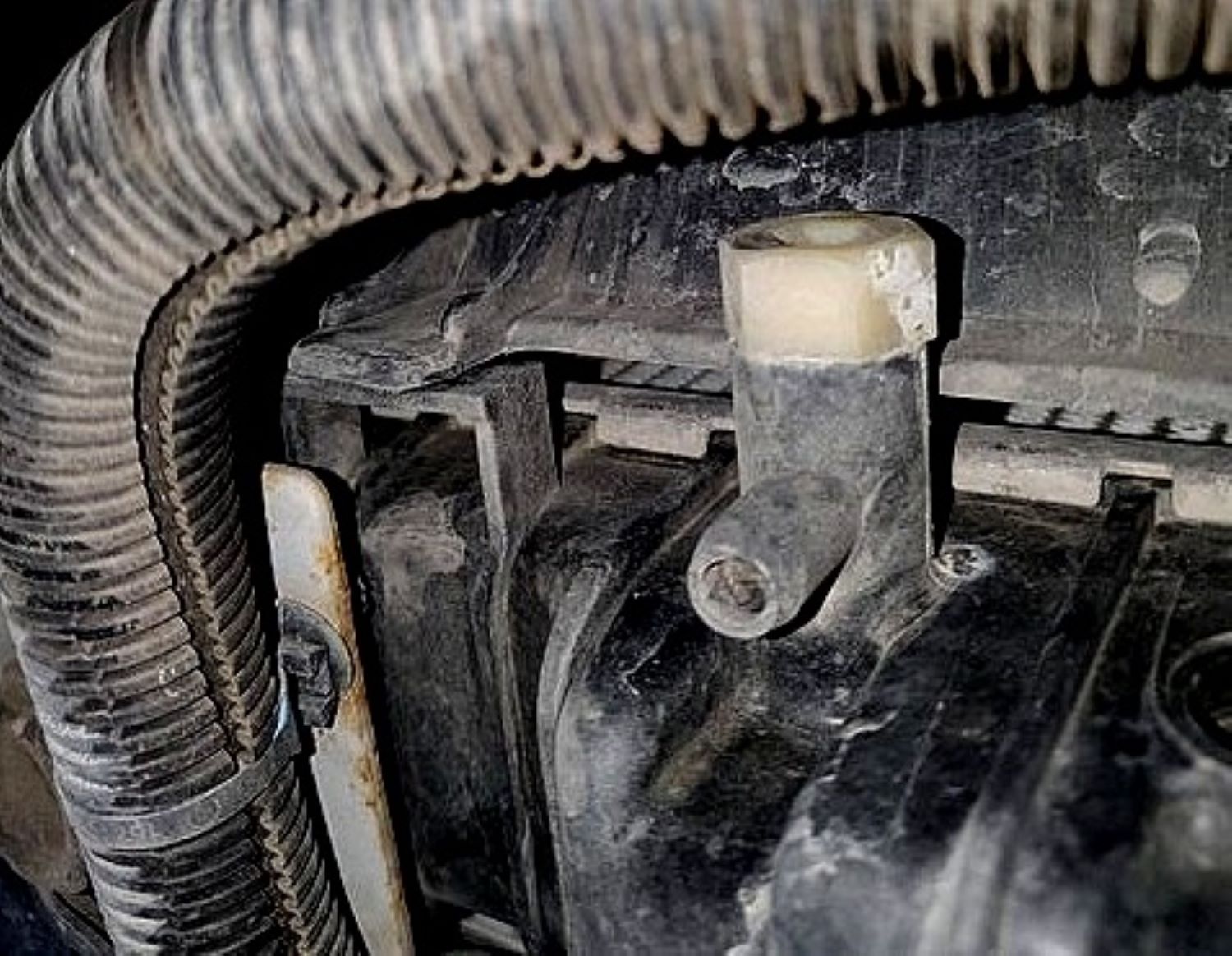 You Should Do This With Used Antifreeze When Disposing of It - In The ...