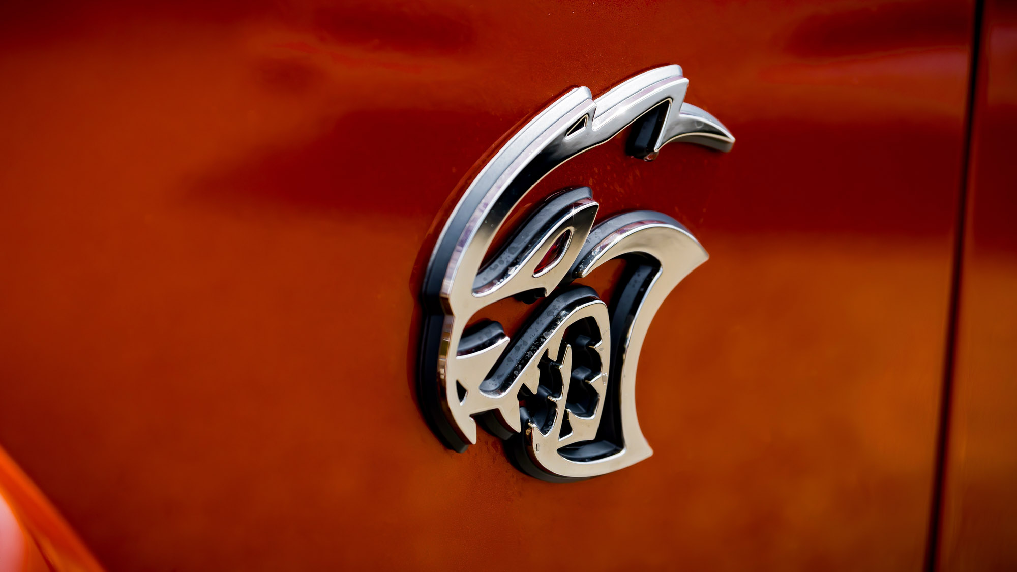 Hellcat Charger Logo