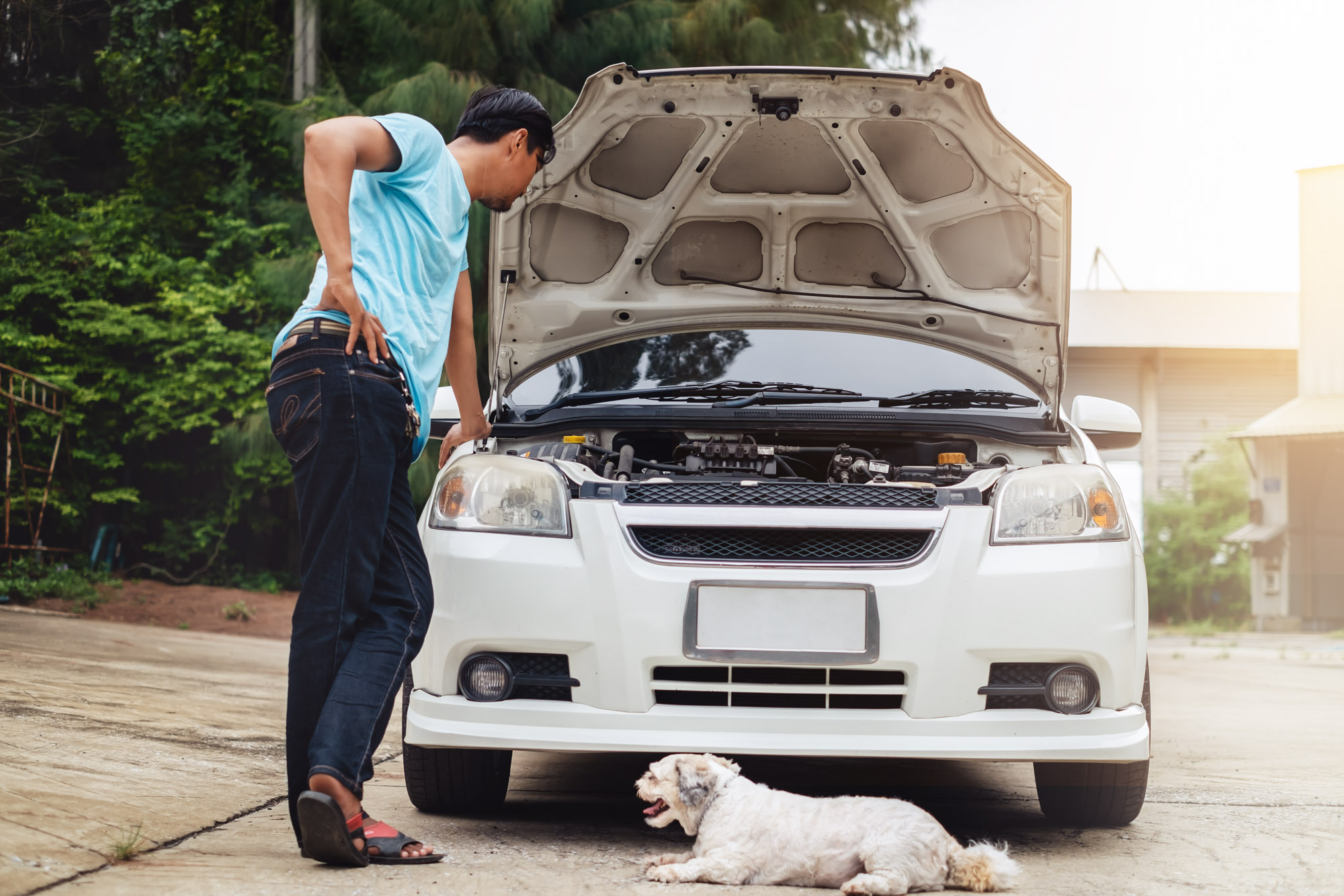 Ready to Roll: Do You Truly Know Your Car Repair Proficiency? - In The ...