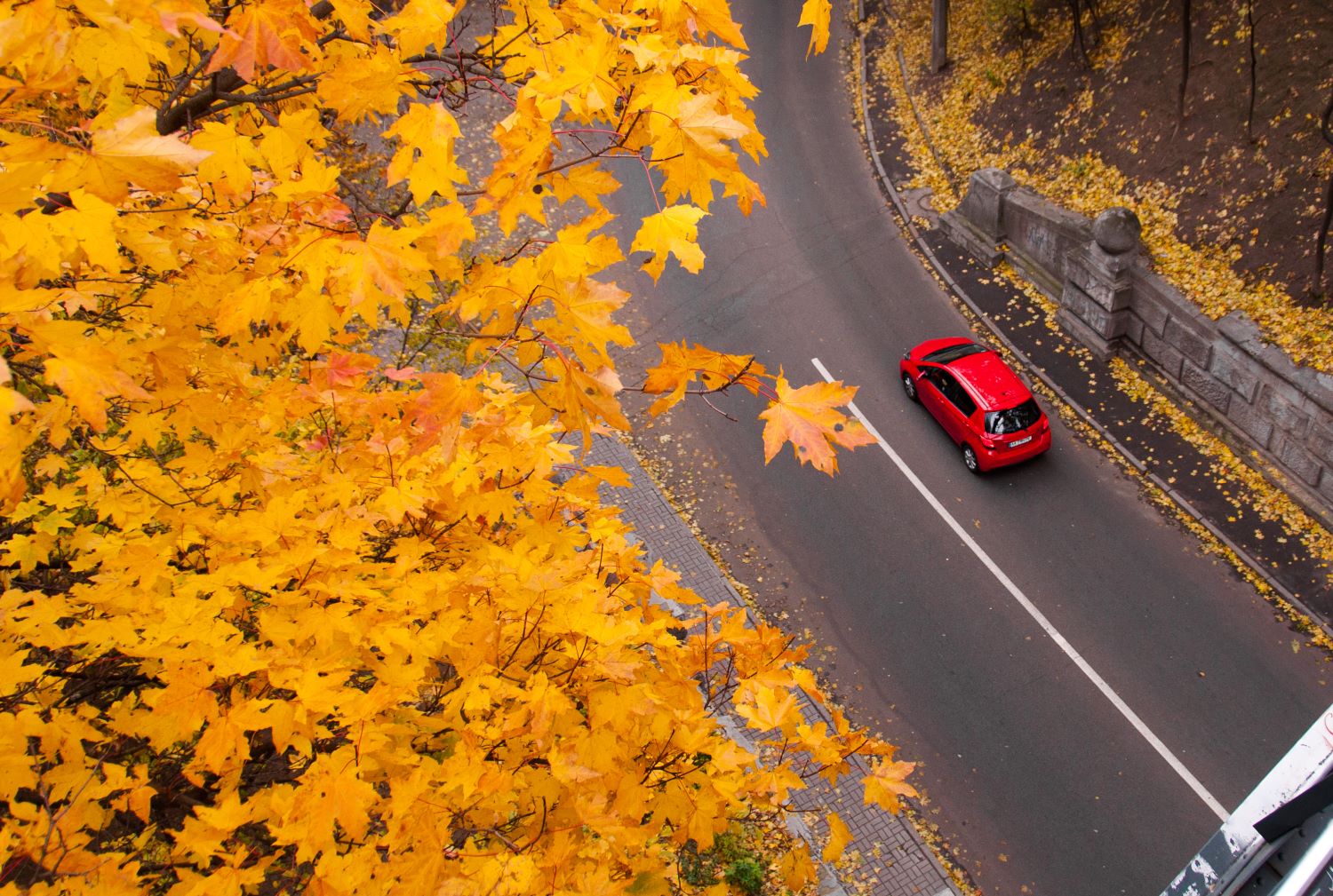 How to Stay Safe From Fall Driving Hazards - In The Garage with ...