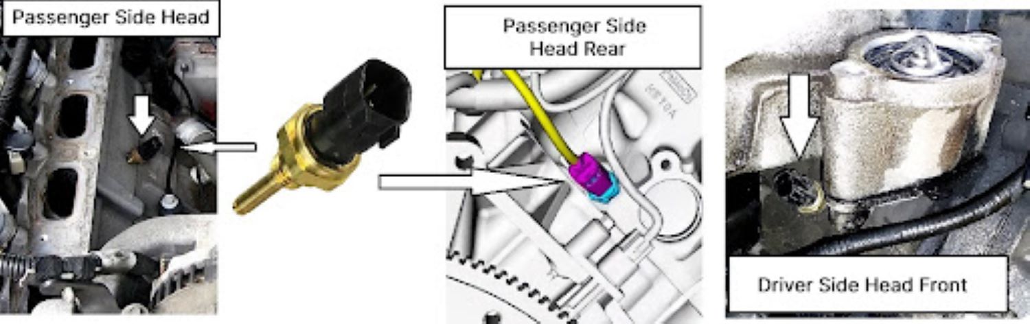 Where Is the CTS Located? - In The Garage with CarParts.com