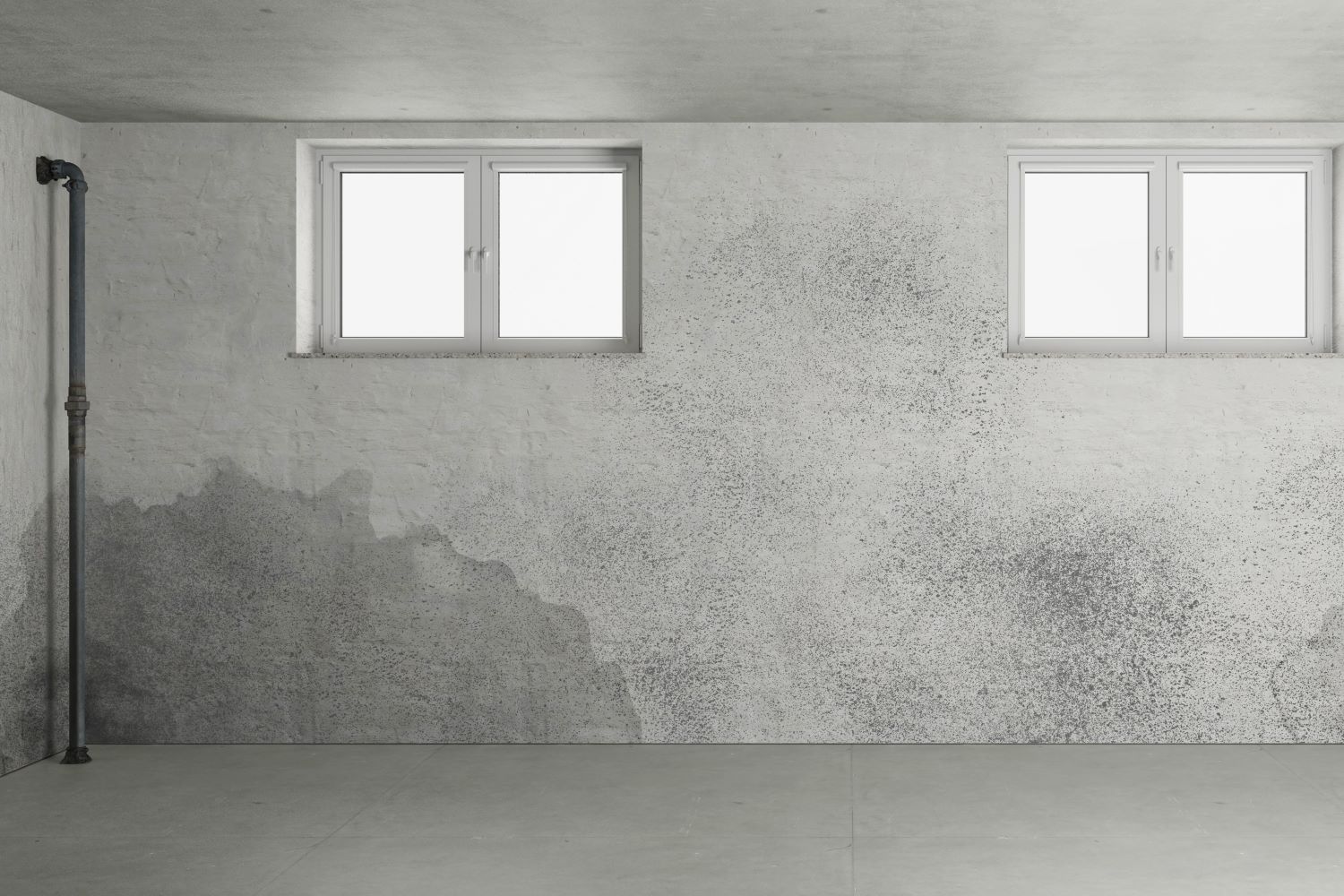 How To Prevent and Remove Mold in Your Garage - In The Garage with ...