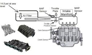 Where Is the Intake Manifold Located? - In The Garage with CarParts.com