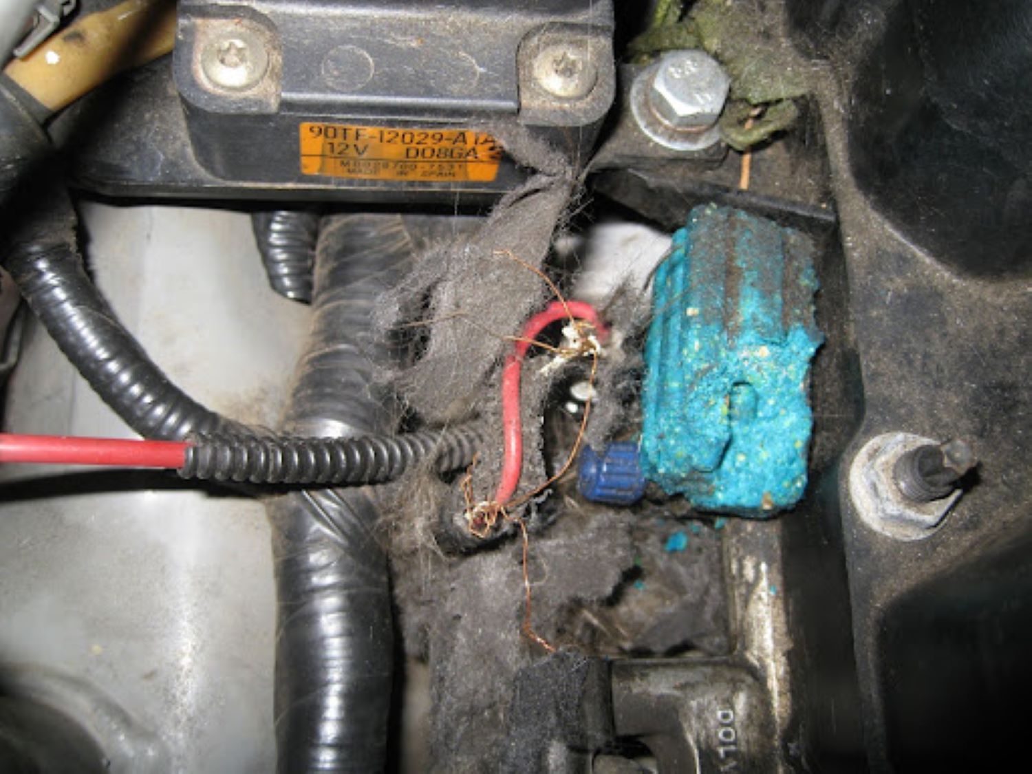 How To Keep Pesky Mice From Under the Hood of Your Car - In The Garage ...