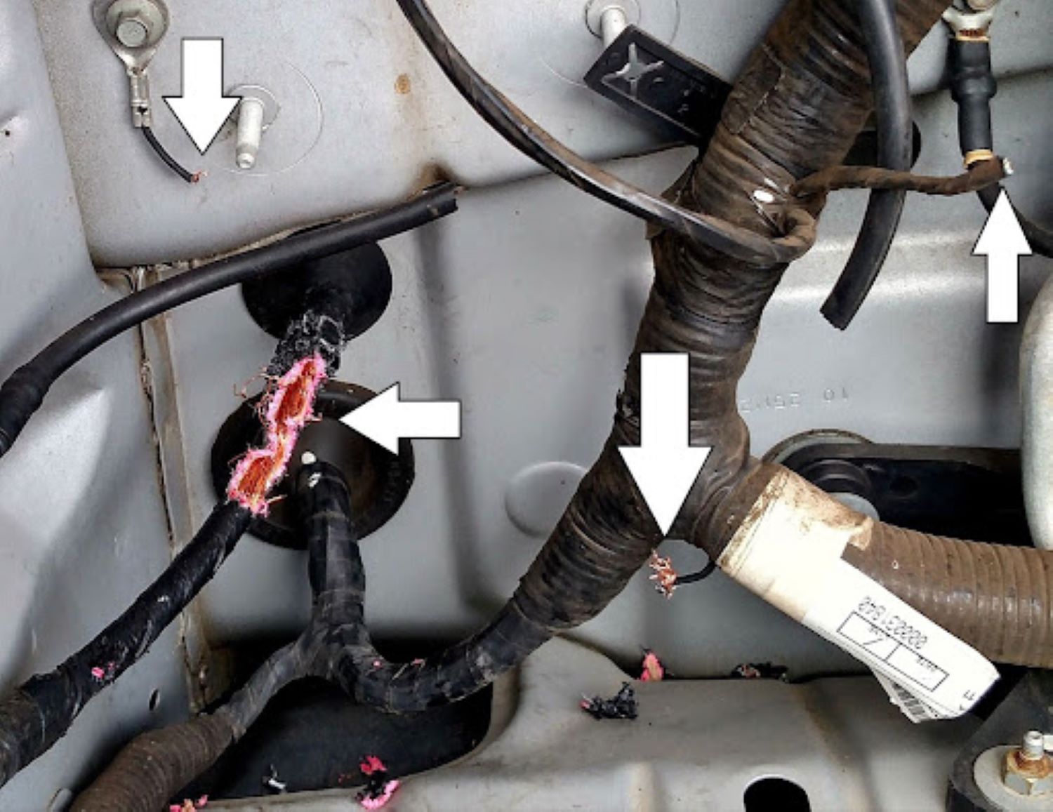 How To Keep Pesky Mice From Under the Hood of Your Car - In The Garage ...