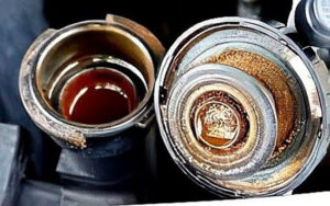 Where Is the Radiator Cap Located? - In The Garage with CarParts.com