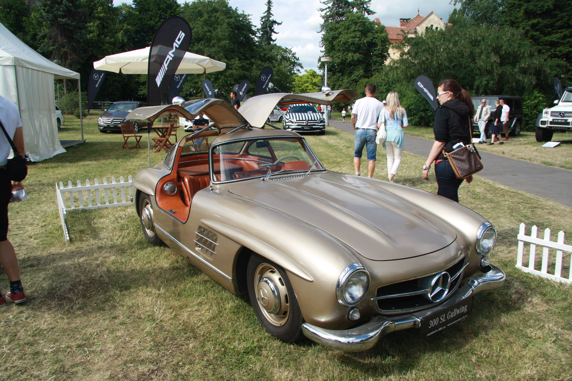 A Peek Into Some of the Rarest Cars In the World - In The Garage with ...