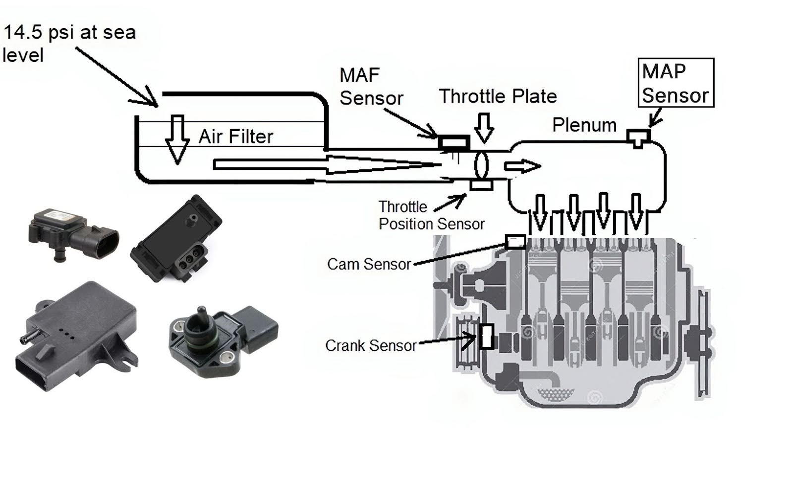 How to Check if Your MAP Sensor is Bad - In The Garage with CarParts.com