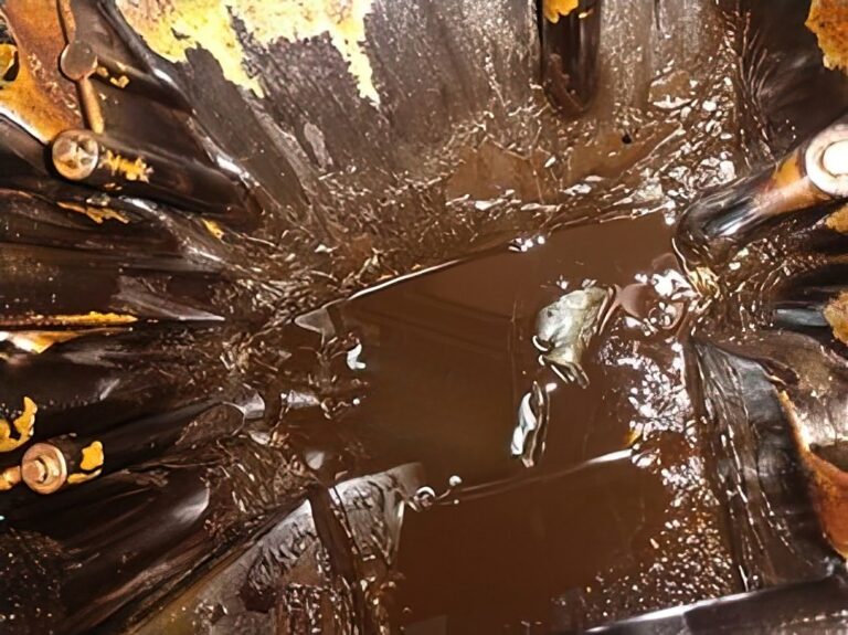 Metal Shavings in Oil: Causes, Effects, and Prevention Tips - In The ...