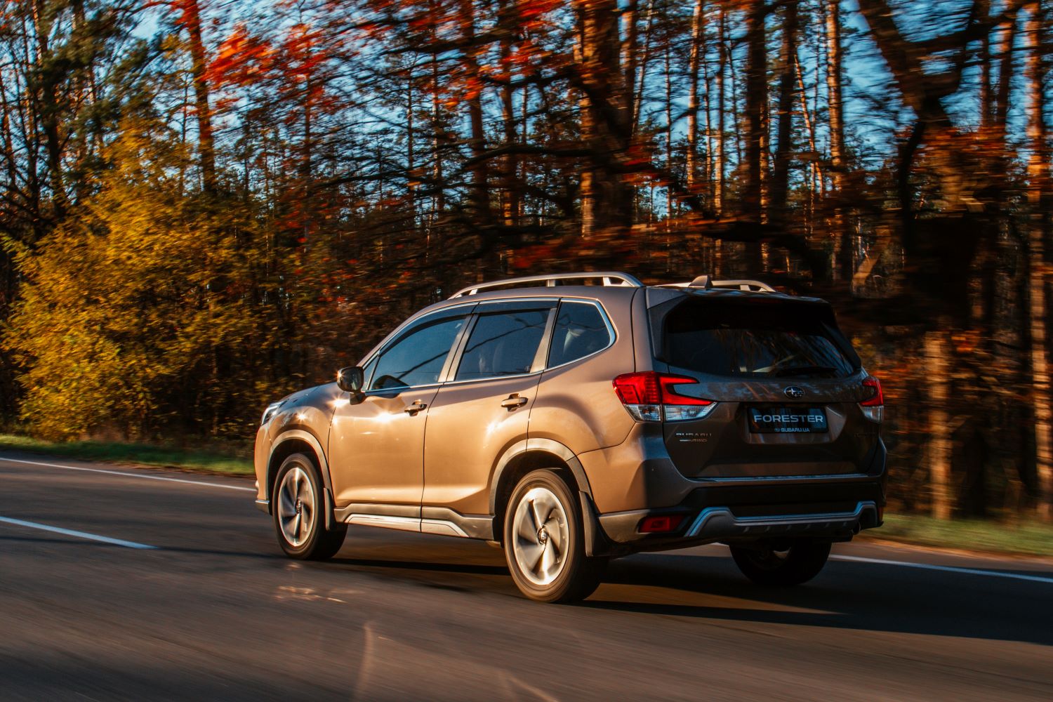 Here’s What Your Car's Color Says About You - In The Garage with ...