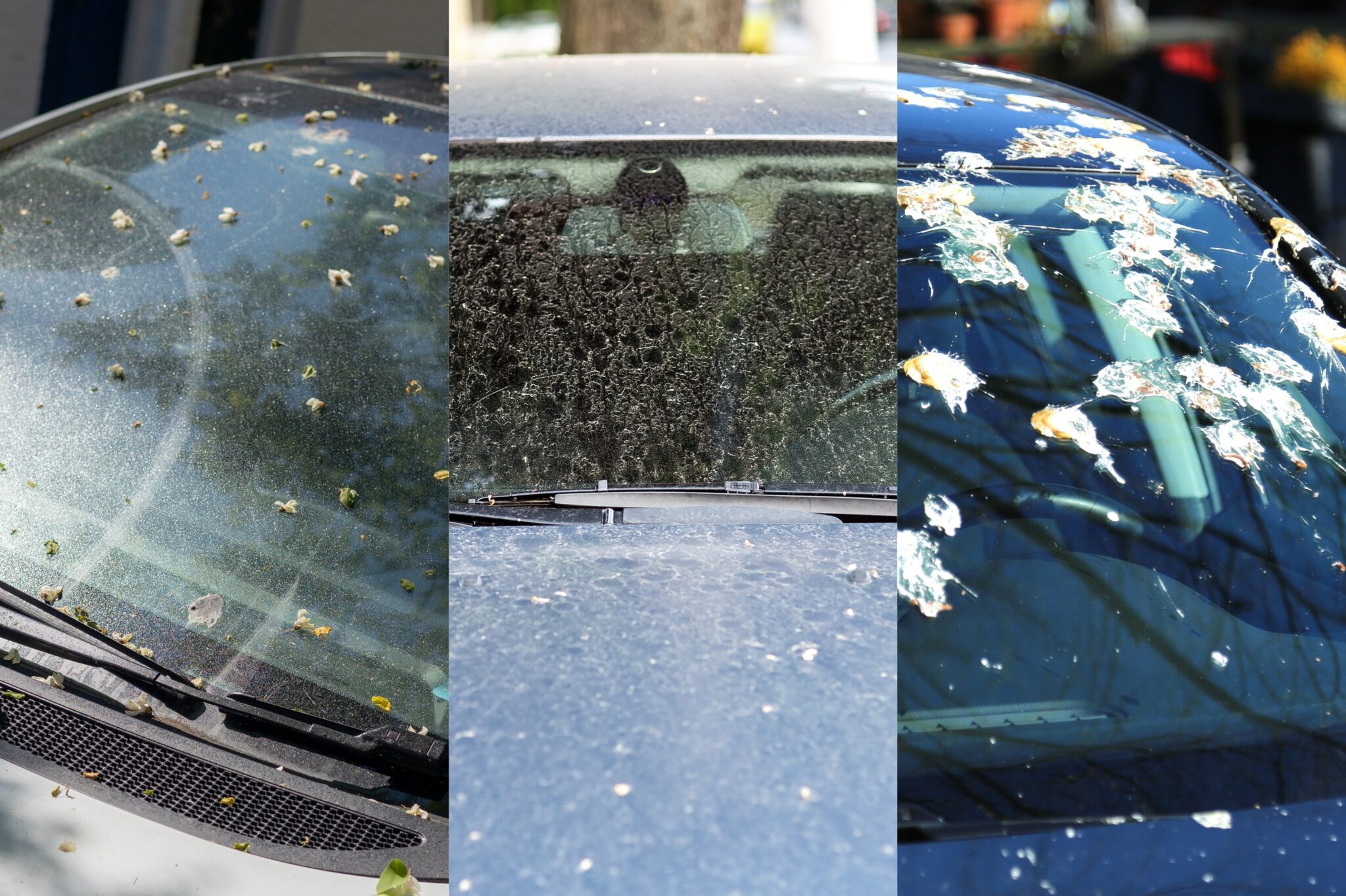 Windshield Stains: Tips for Removing, Prevention, and More - In The ...