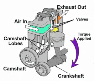 Your Guide to Understanding the Basics of the Crankshaft and Camshaft ...