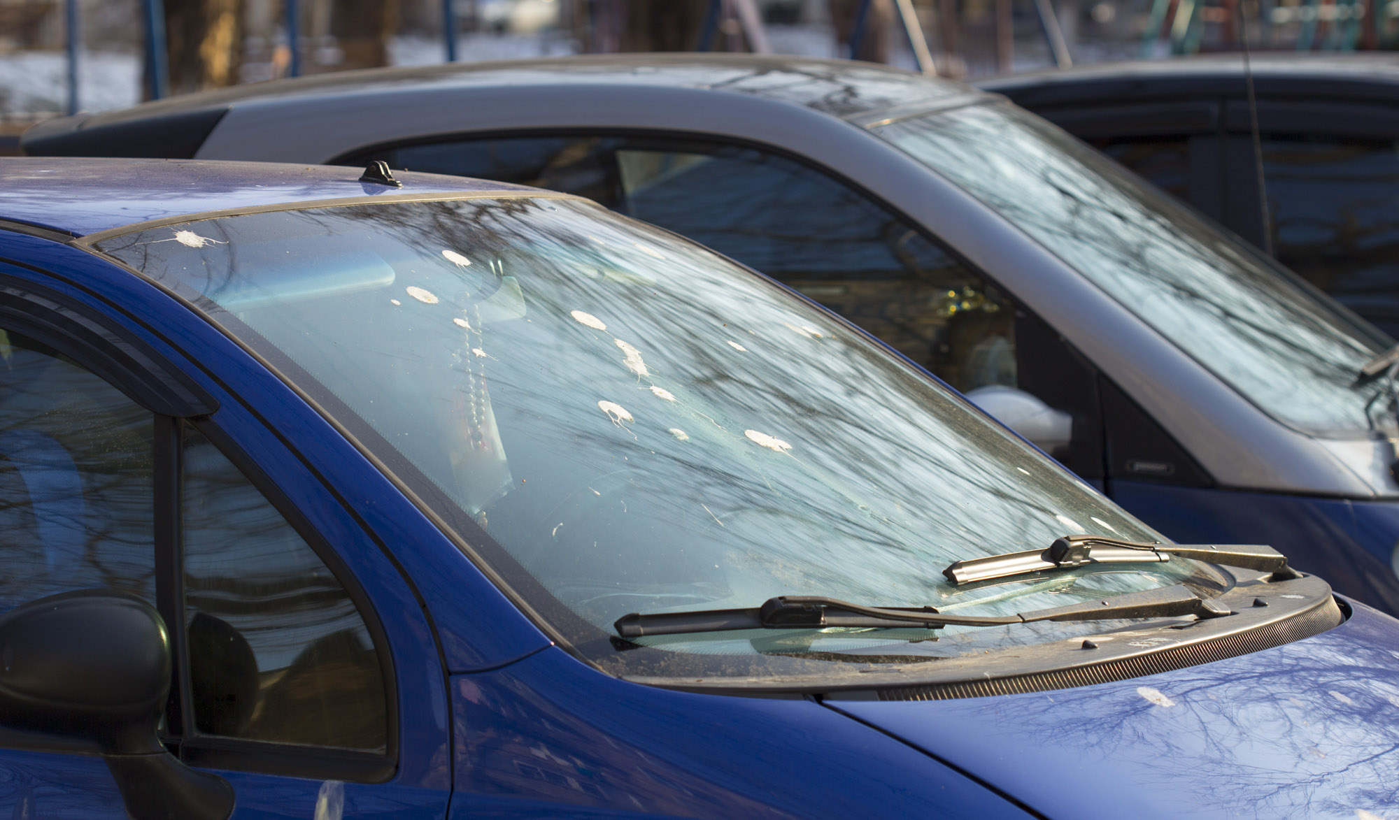 Windshield Stains: Tips for Removing, Prevention, and More - In The ...