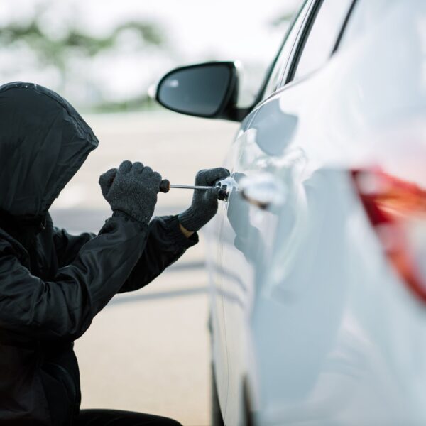 Get to Know Your Vehicle's Occupant Classification System - In The ...