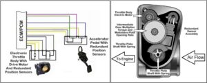 Electronic Throttle Control: Functions, How to Restart, and FAQs - In ...