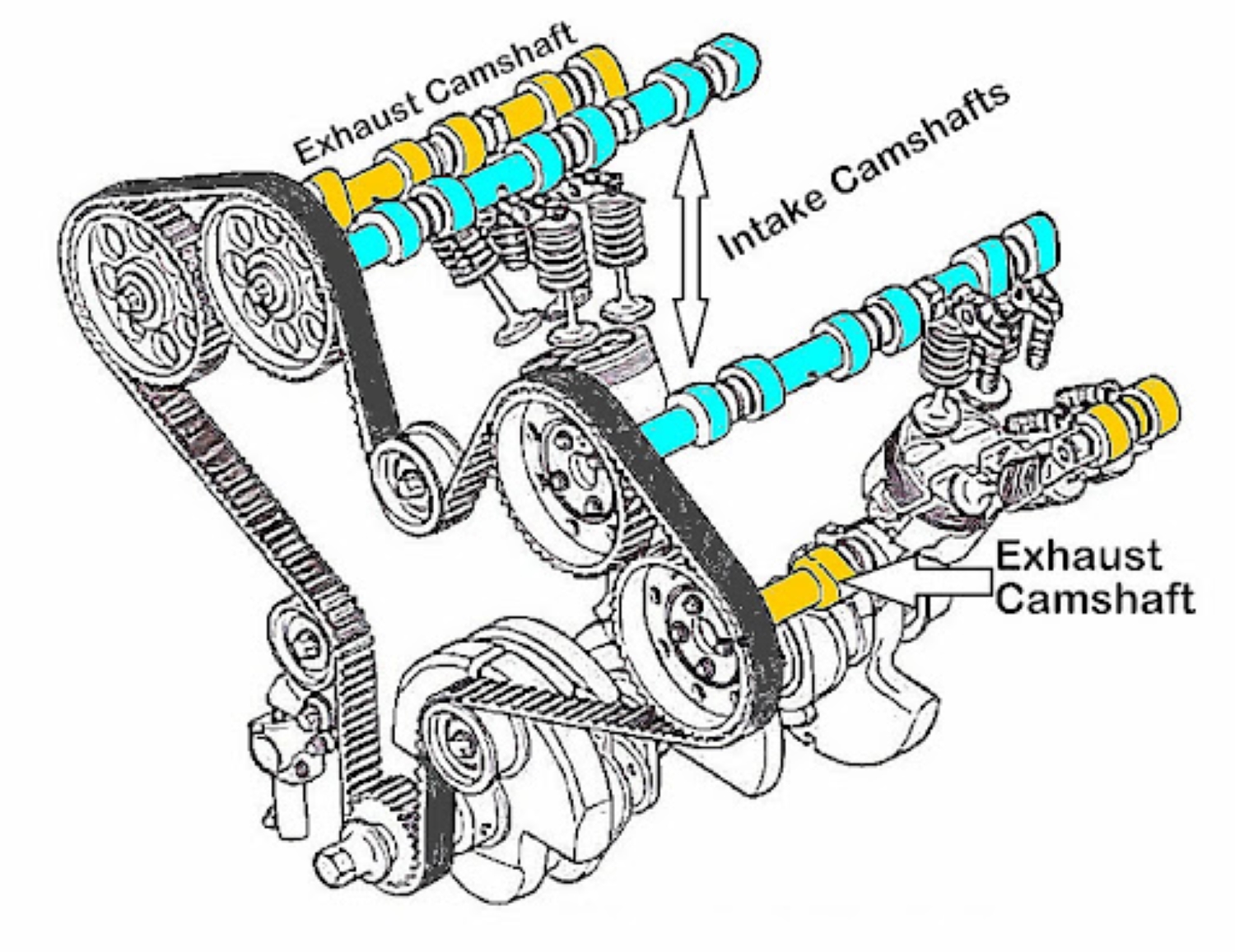 What is an Exhaust Cam and Why Is It Important? - In The Garage with CarParts.com
