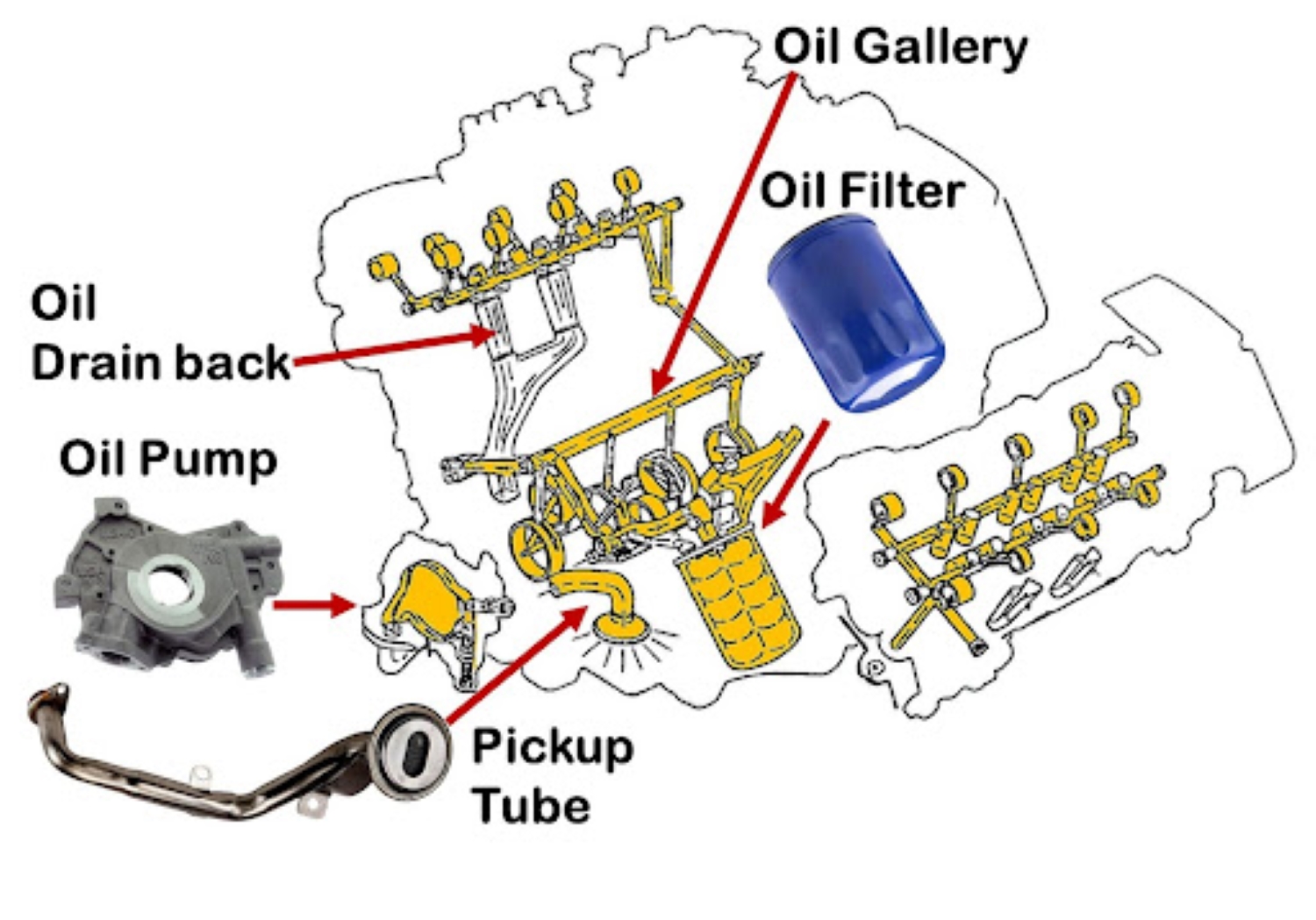 The Oil Lubrication System: What It Is, How It Works, and More - In The Garage with CarParts.com