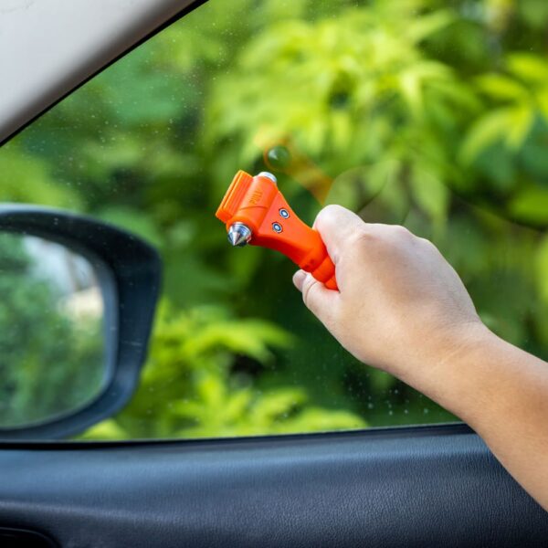 Why Lubricate Your Car Window Tracks? When to Do It, Tips, and More ...