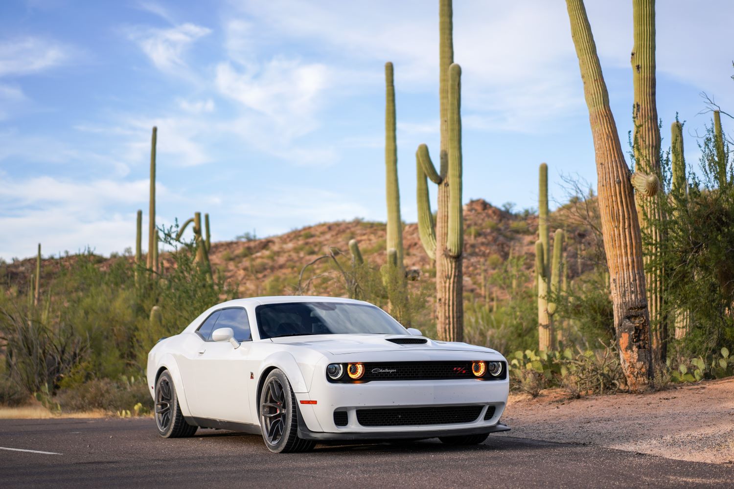 What Is a Scat Pack? FAQs and More - In The Garage with CarParts.com