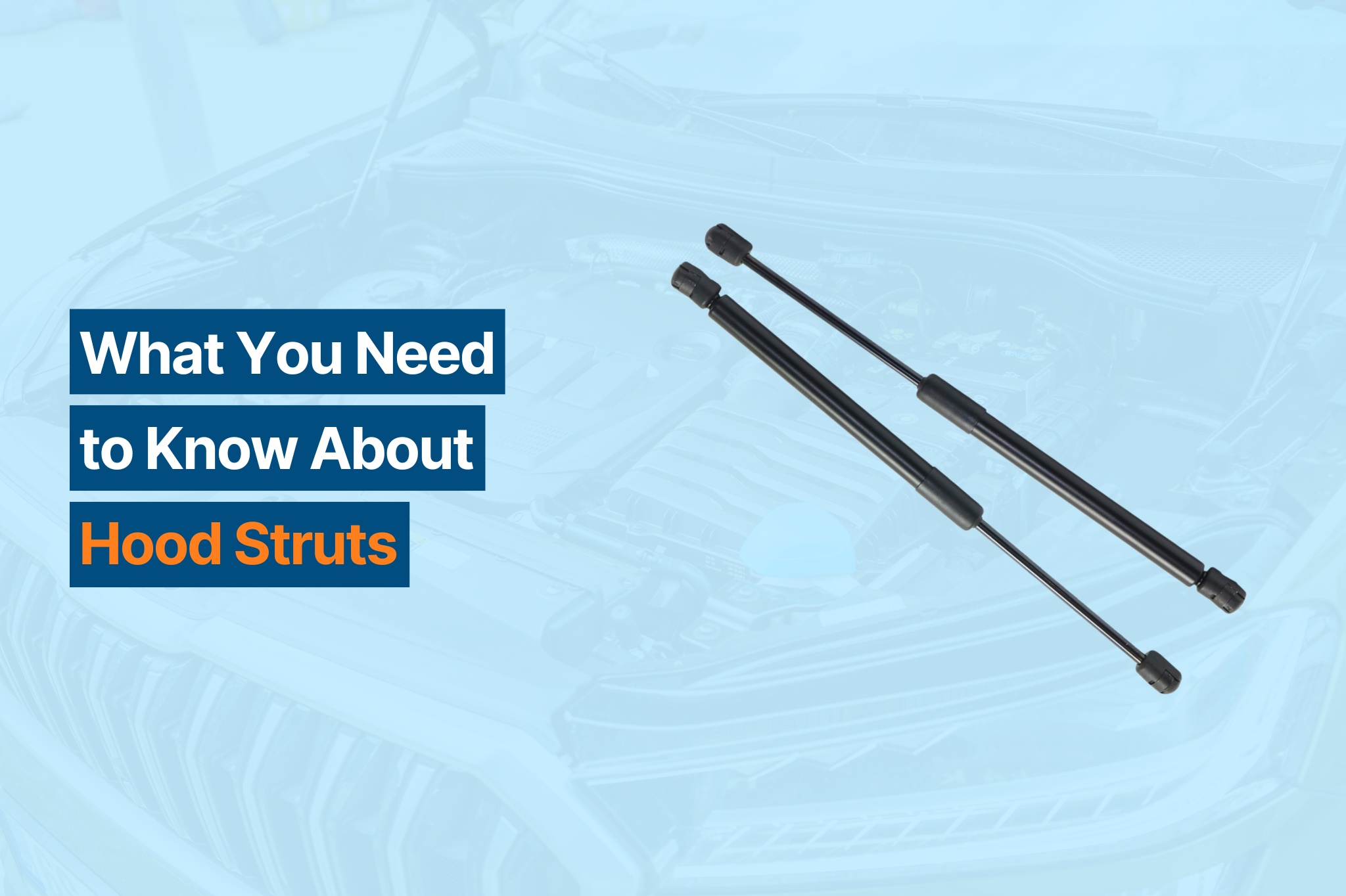 Hood Struts: What They Are, How To Replace Them, and More - In The Garage with CarParts.com
