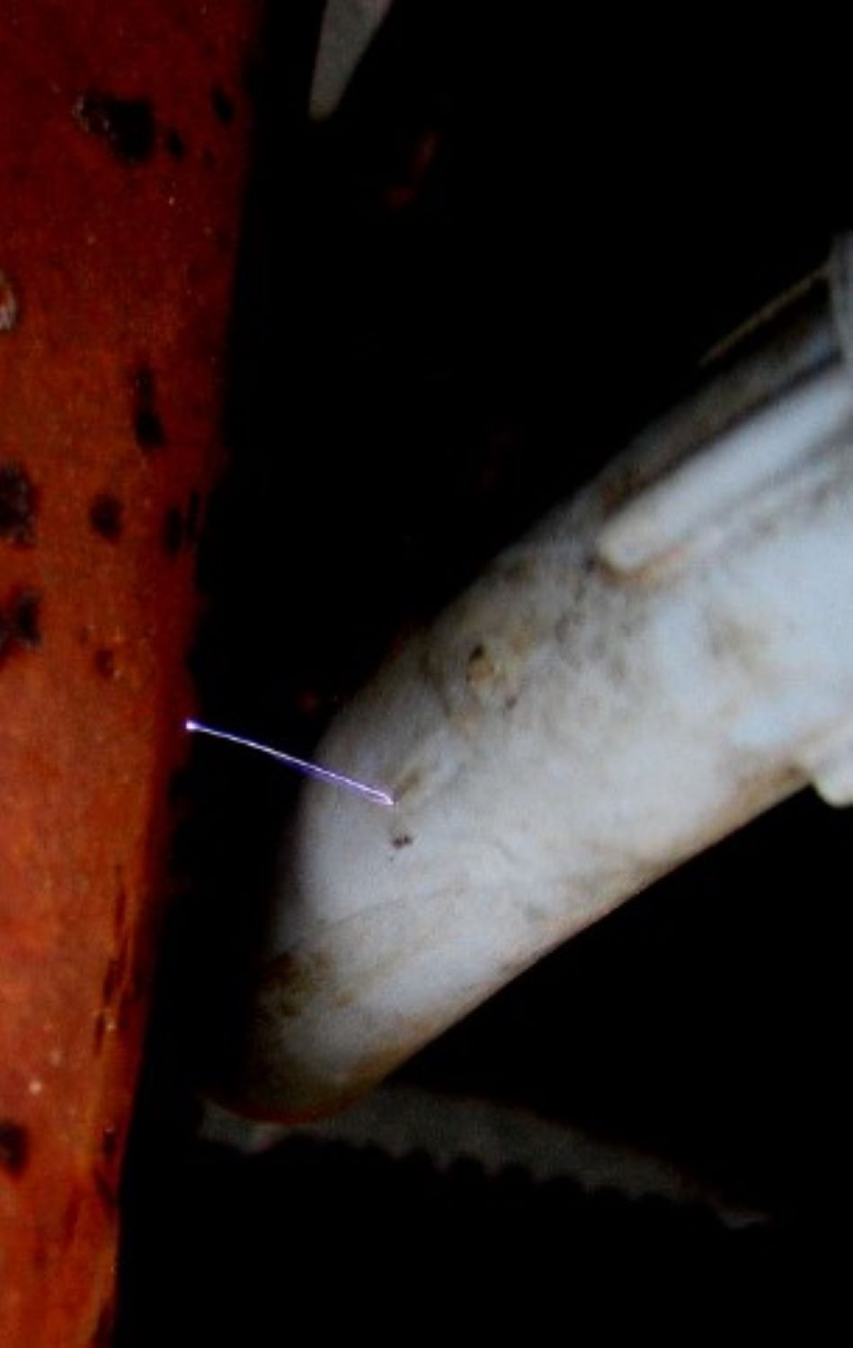 What Are Boots for Spark Plugs? - In The Garage with CarParts.com