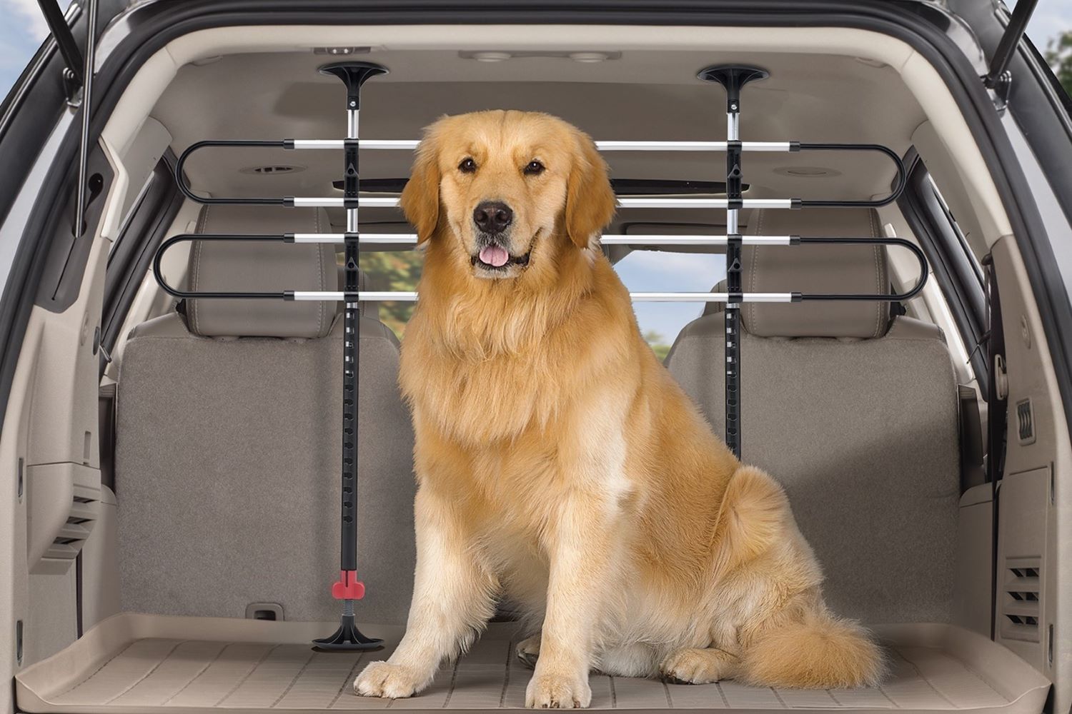 Pet Parent Essentials: Car Accessories for Pets - In The Garage with ...